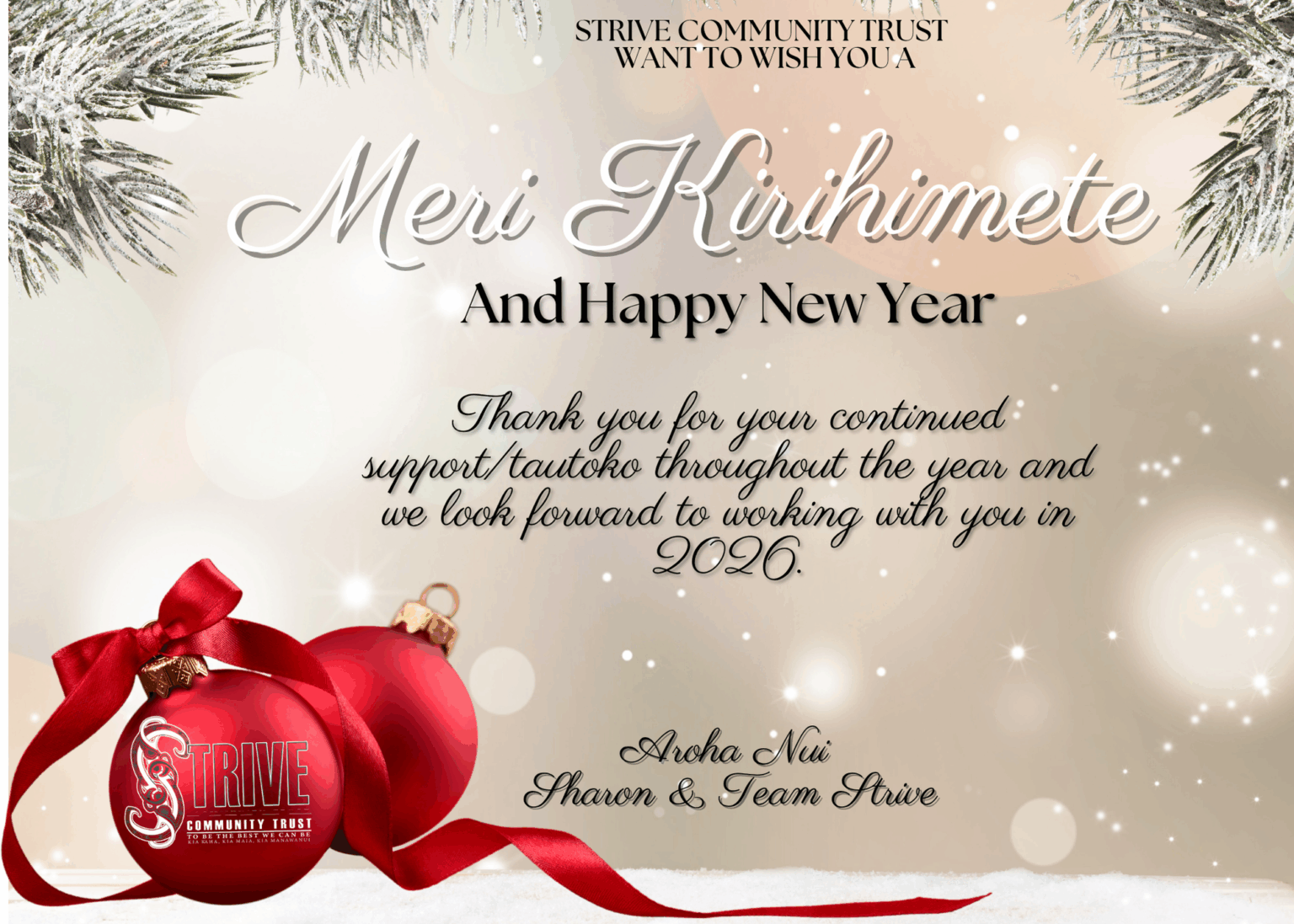 Home - STRIVE Community Trust